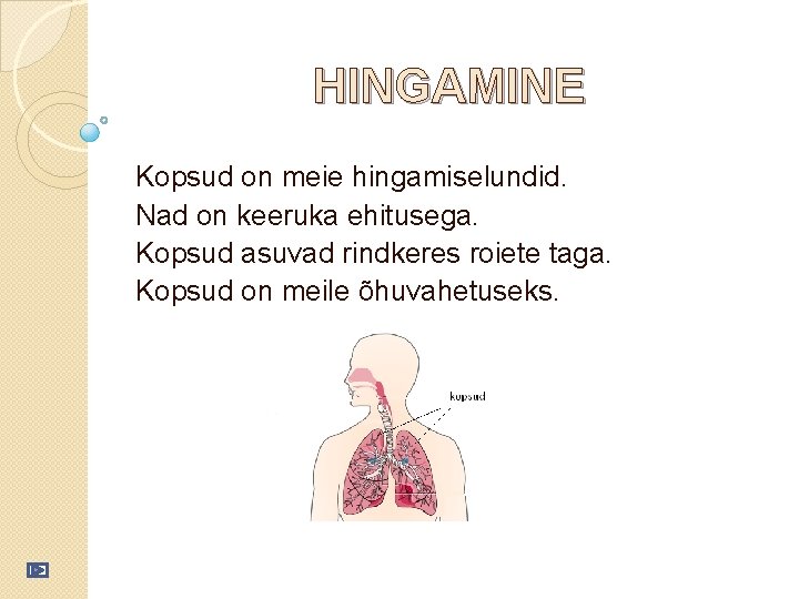 HINGAMINE Kopsud on meie hingamiselundid Nad on keeruka