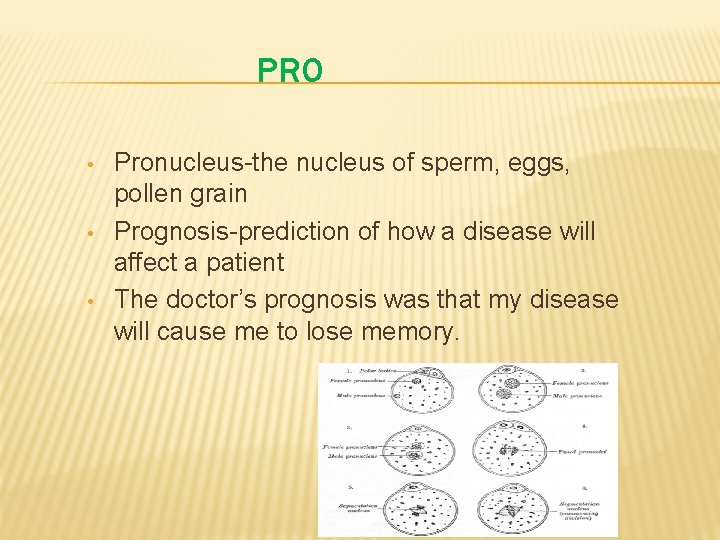 GREEK AND LATIN ROOTS By Aamariah Title Ichnos