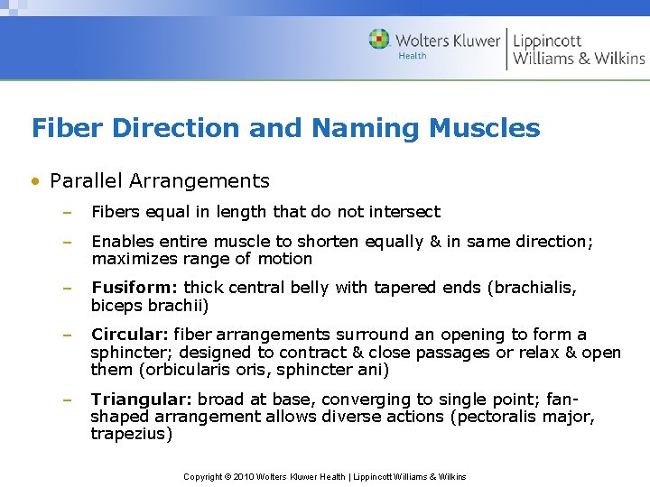 Chapter 3 Myology Copyright 2010 Wolters Kluwer Health