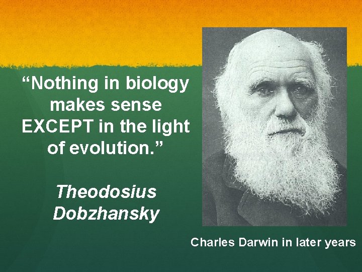 Evolution 16 2 Ideas that Shaped Darwins Thinking