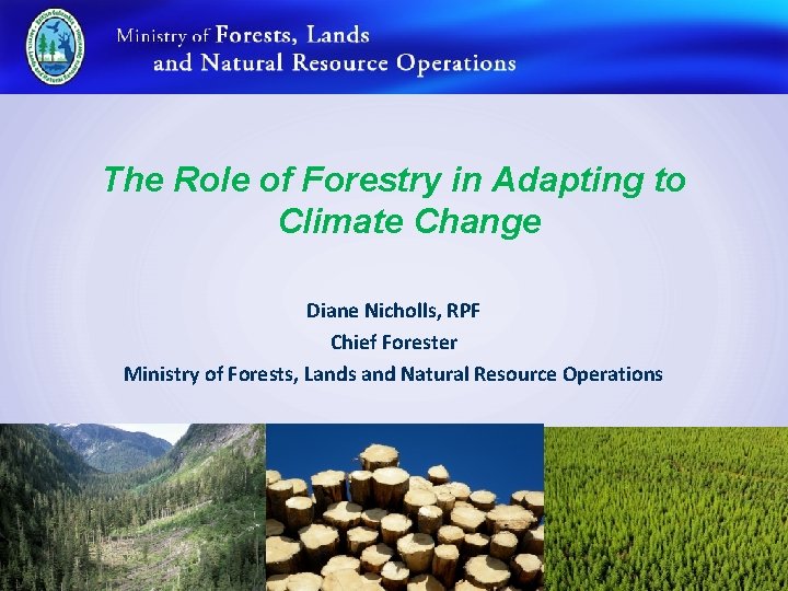 The Role of Forestry in Adapting to Climate