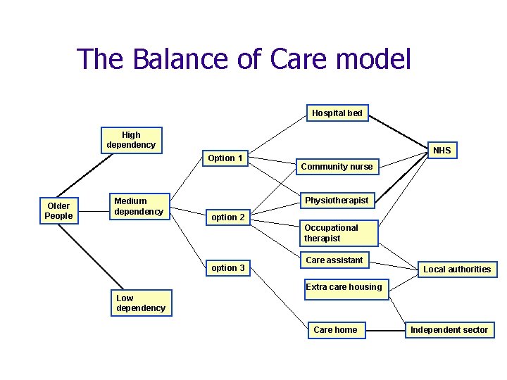 Balance of Care the Biography of a Model