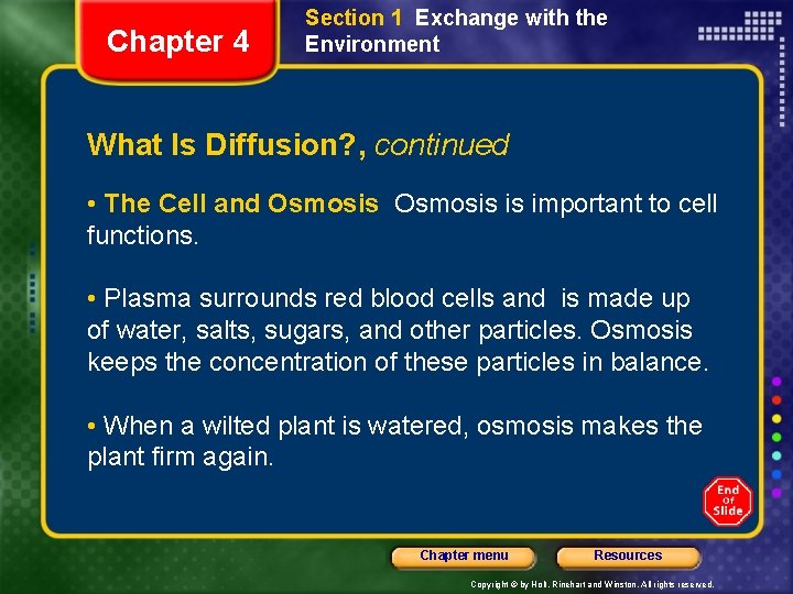 Chapter 4 Section 1 Exchange with the Environment