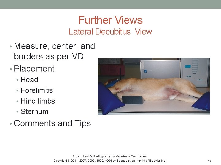SMALL ANIMAL ABDOMEN CHAPTER 18 Brown Lavins Radiography