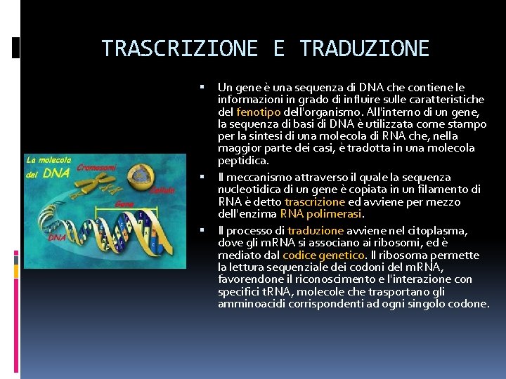 ALLA SCOPERTA DEL DNA STORIA Miescher 1869 il