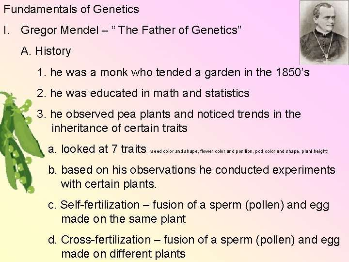 Chapter 9 Patterns of Inheritance Fundamentals of Genetics
