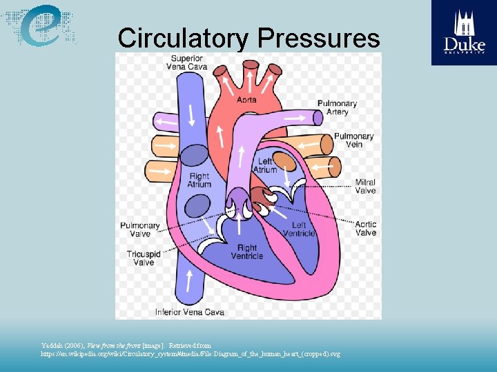 Blood Pressure Telehealth 2010 Blood Pressure monitor picture