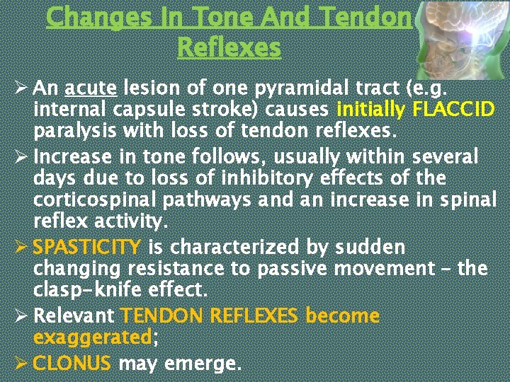 UPPER MOTOR NEURON HEMIPLEGIAPARAPLEGIA DR NASIR FAROOQ BUTT