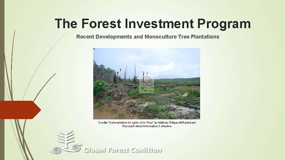 The Forest Investment Program Recent Developments and Monoculture