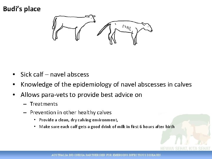 Basic Field Epidemiology Session 2 Overview of Epidemiology