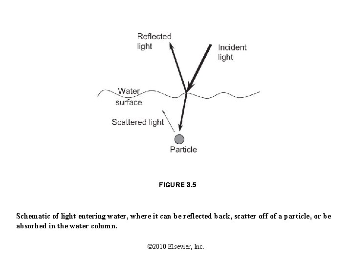 Chapter 3 Movement of Light Heat and Chemicals
