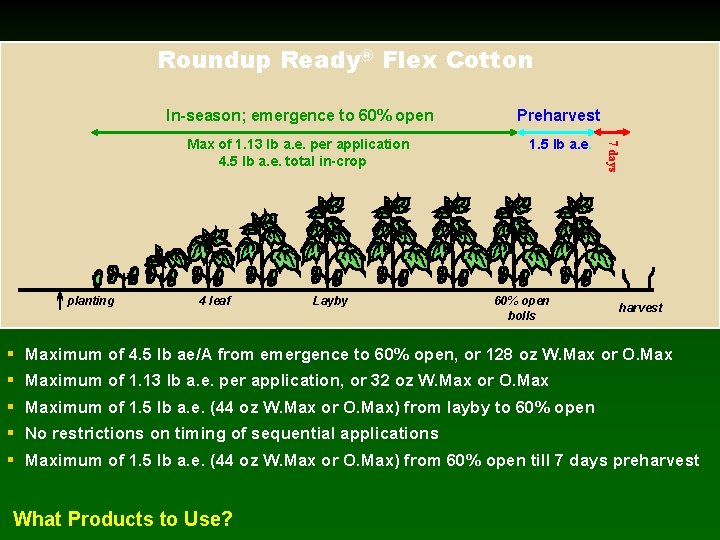 Cotton Production Breakout Section 2005 Breakout Discussion Topics