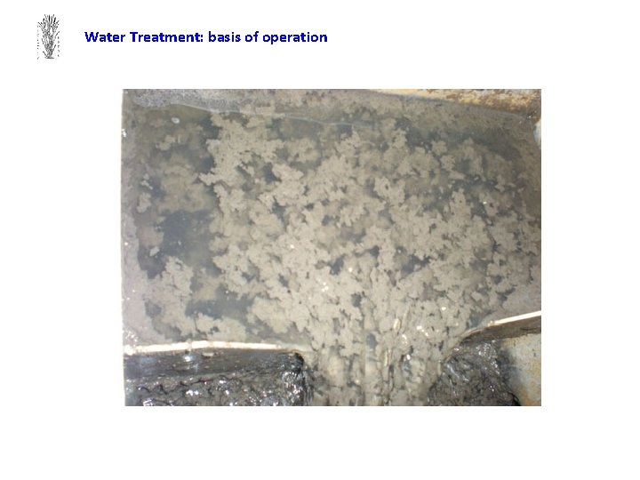 Water Treatment Basis of operation Professor Nick Gray
