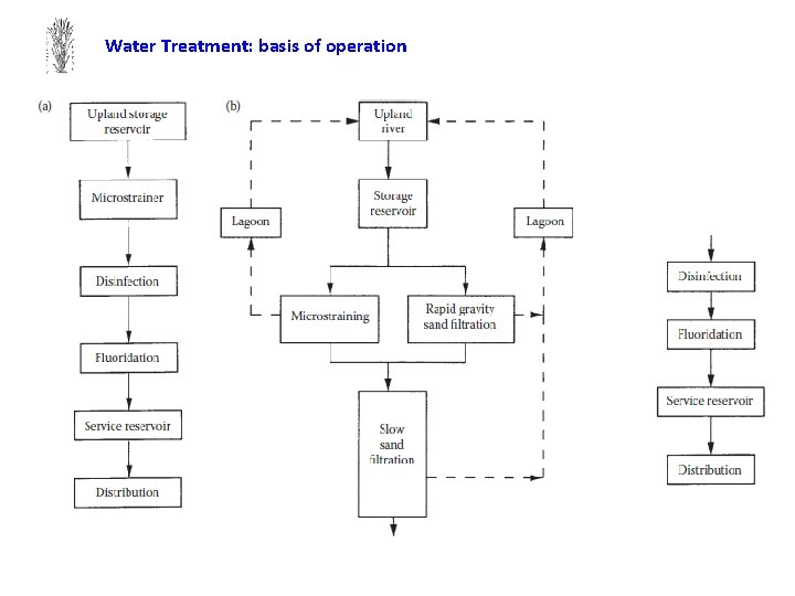 Water Treatment Basis of operation Professor Nick Gray