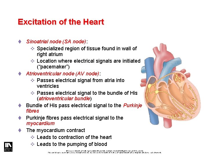 Exercise Science Section 7 The Cardiovascular and Respiratory