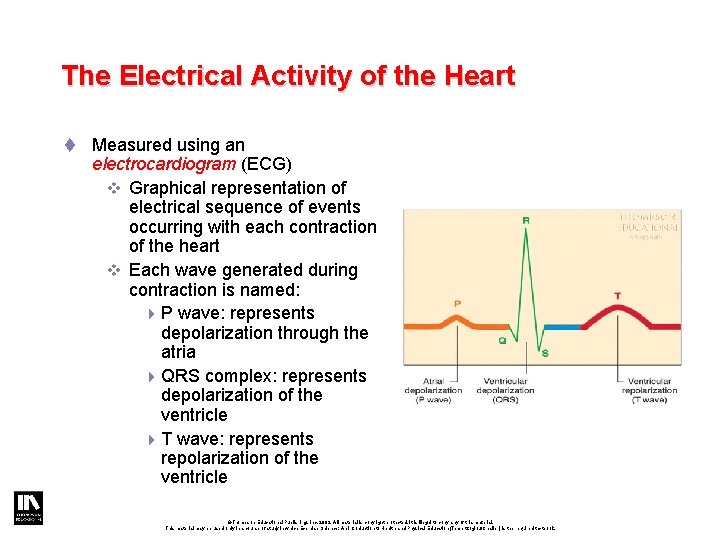 Exercise Science Section 7 The Cardiovascular and Respiratory