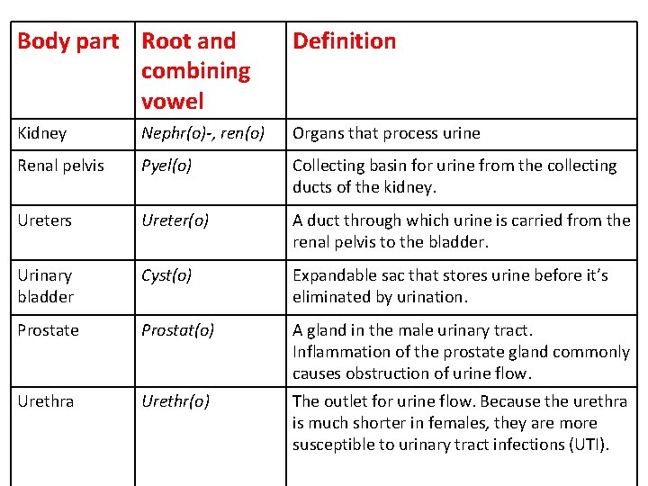 Anatomical term Anatomical structure of system Objectives Name
