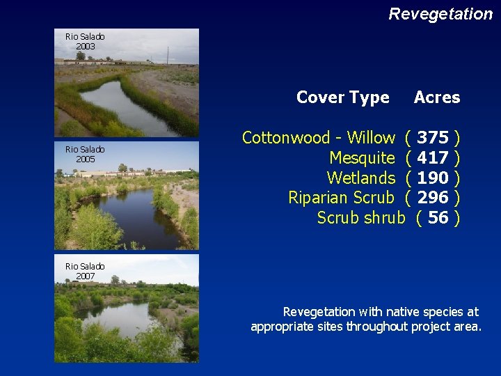 Rio Salado Rio Salado Oeste Phoenix Arizona Ecosystem