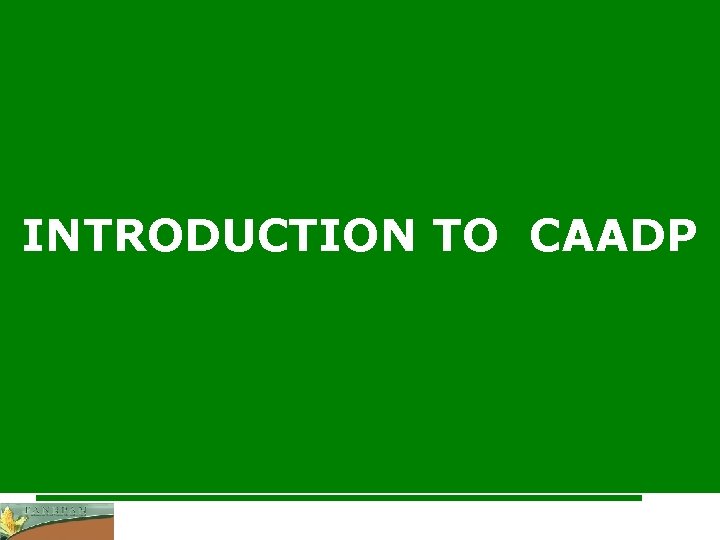 INTRODUCTION TO CAADP Background The CAADP provides a