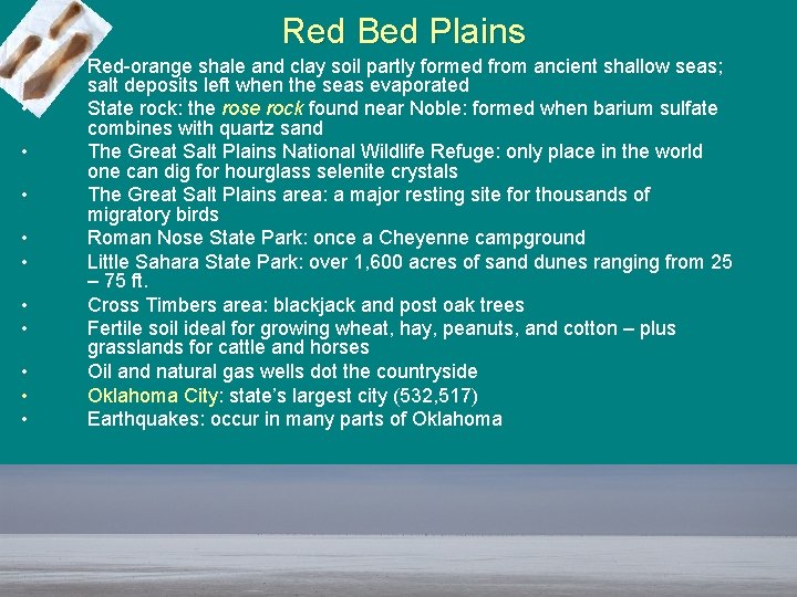 Chapter 2 Section 2 Geographic Regions and we