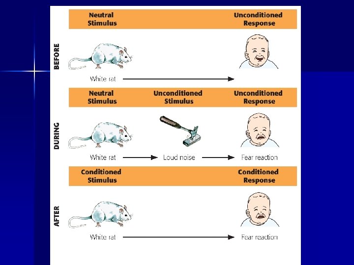 Chapter 5 Learning Chapter 5 Overview n Classical