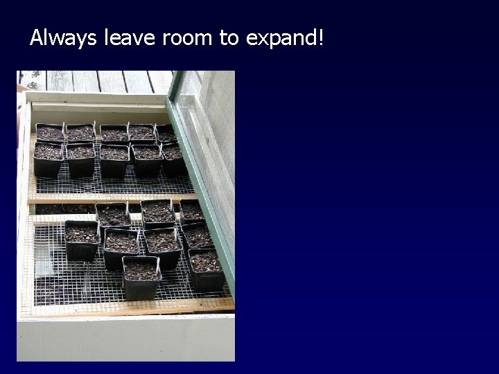 Growing from Seed What is a seed matured