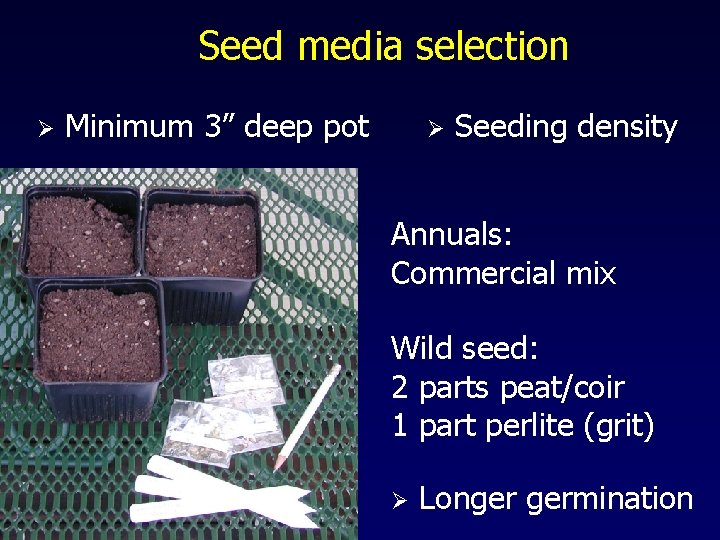 Growing from Seed What is a seed matured