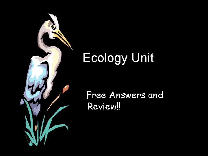 Ecology Unit Free Answers and Review Essential Questions