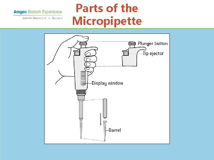 ABE Labs 1 1 and 1 2 Tools