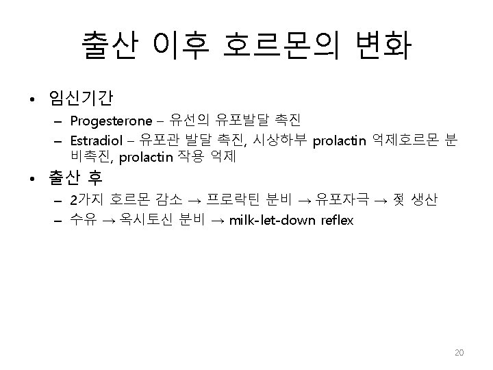 default Y SRY clitoris labia majora labia minora