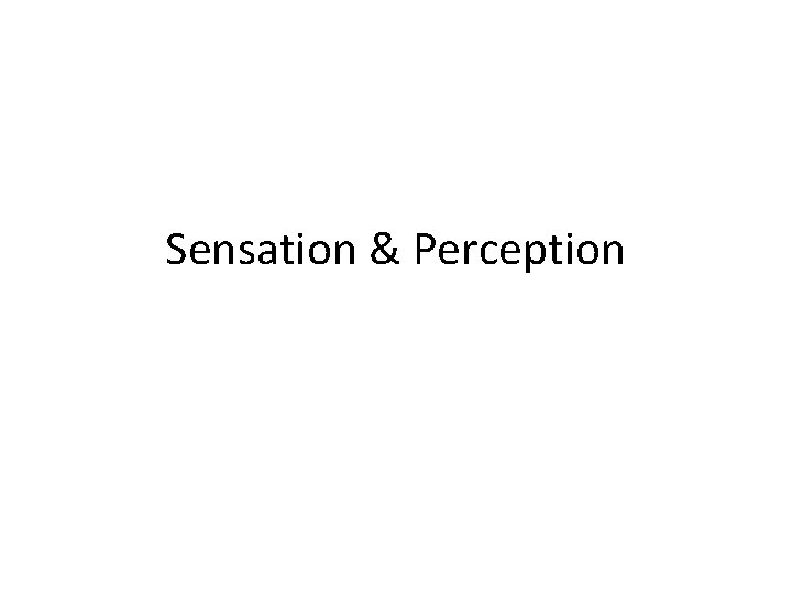 Sensation Perception Sensation The Senses Sight Vision Hearing