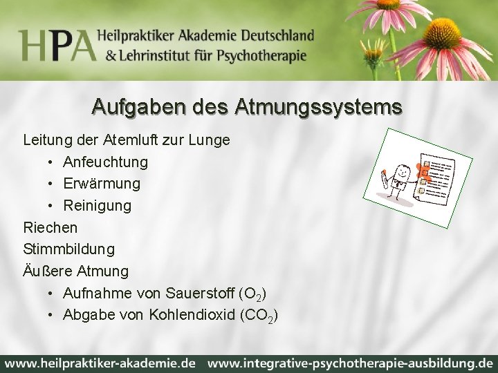 Atmung Respirationstrakt Dozentin Caroline Hilgers Empfohlen als ...