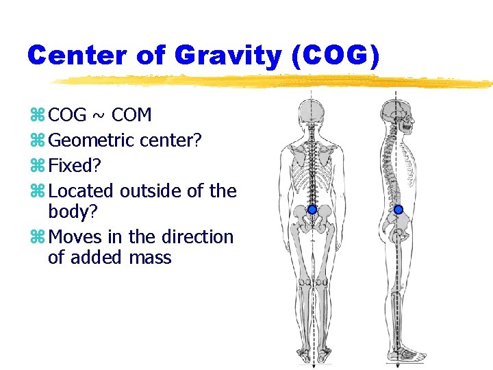 Center of Gravity COG z the point around