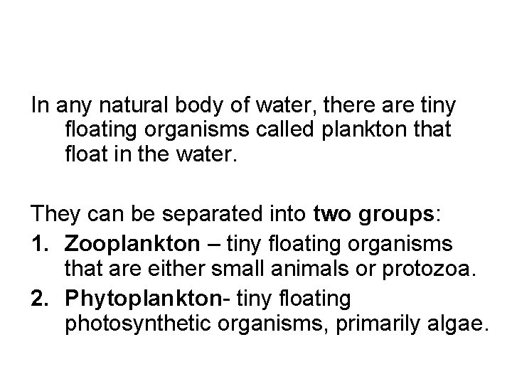 Honors Biology Module 3 Kingdom Protista Part 2