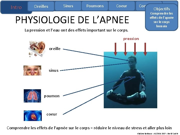Intro Sinus Oreilles Poumons Coeur Conclusion Objectifs Comprendre