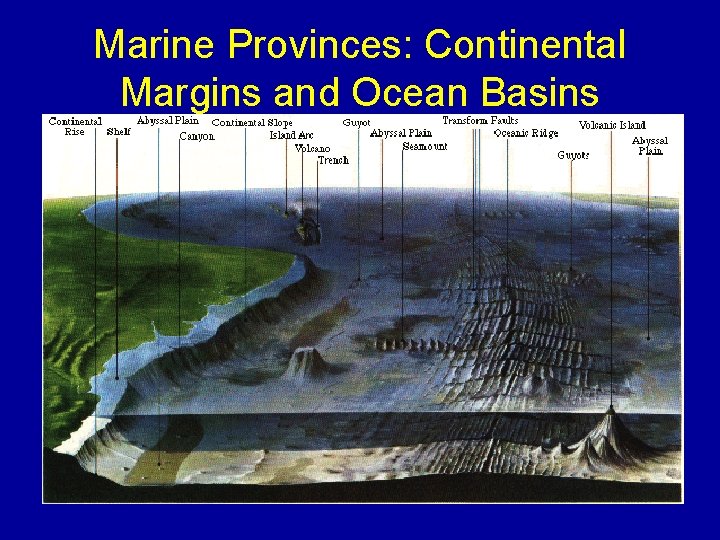 Marine Provinces Continental Margins and Ocean Basins Continental