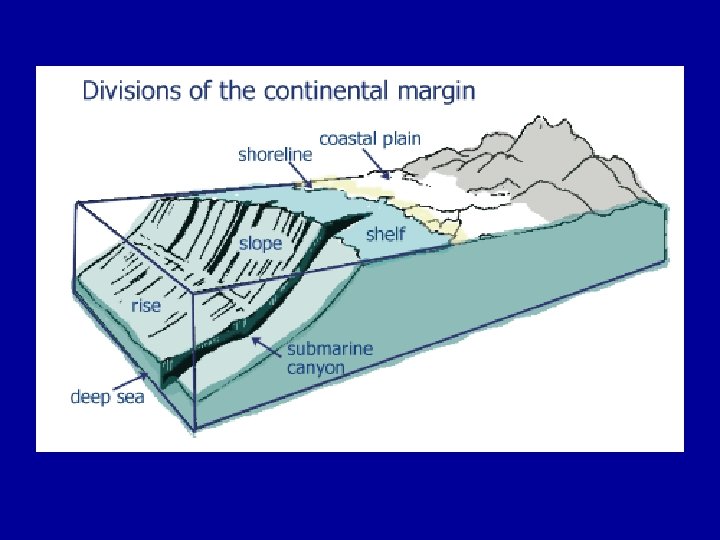 Marine Provinces Continental Margins and Ocean Basins Continental