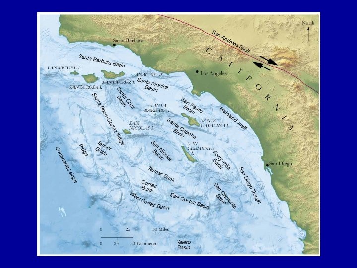 Marine Provinces Continental Margins and Ocean Basins Continental