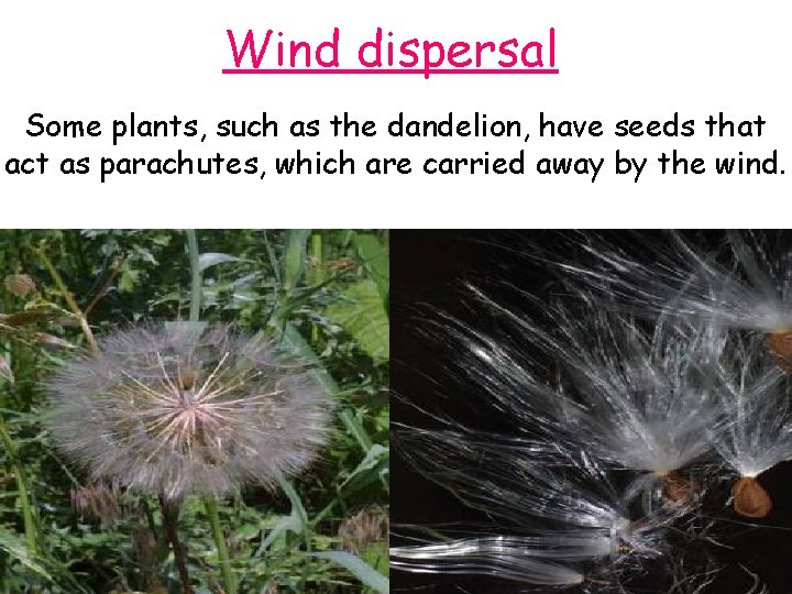 Learning Objective To understand the different ways in