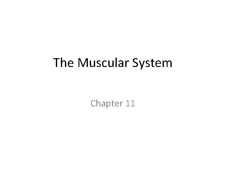 The Muscular System Chapter 11 Introduction Muscles make