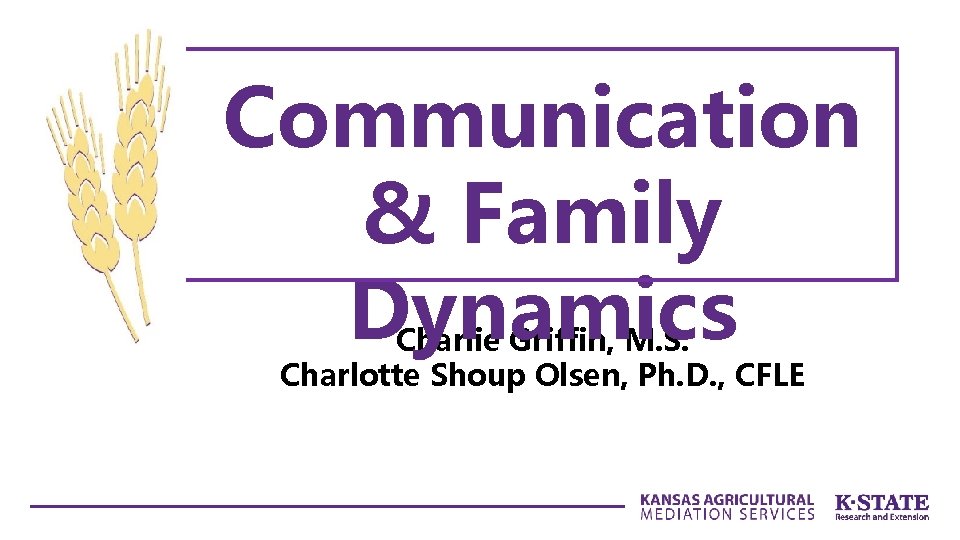 Communication Family Dynamics Charlie Griffin M S Charlotte