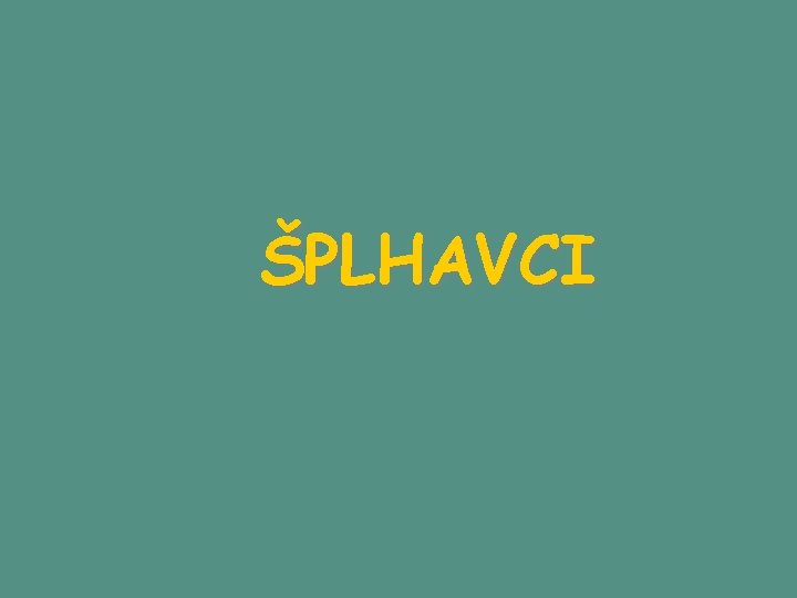 DIGITLN UEBN MATERIL zpracovan v rmci projektu Registran