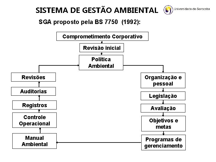 SISTEMA DE GESTO AMBIENTAL Gesto Ambiental Empresarial Diferentes