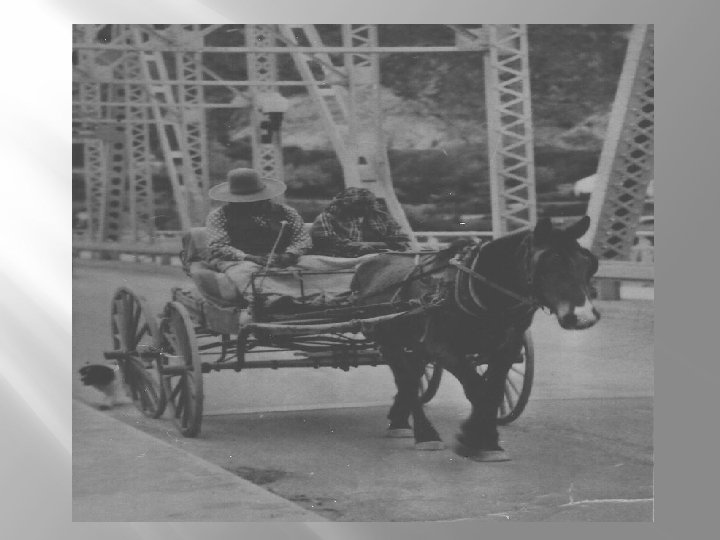 CONFEDERATED TRIBES OF THE COLVILLE RESERVATION Law Order