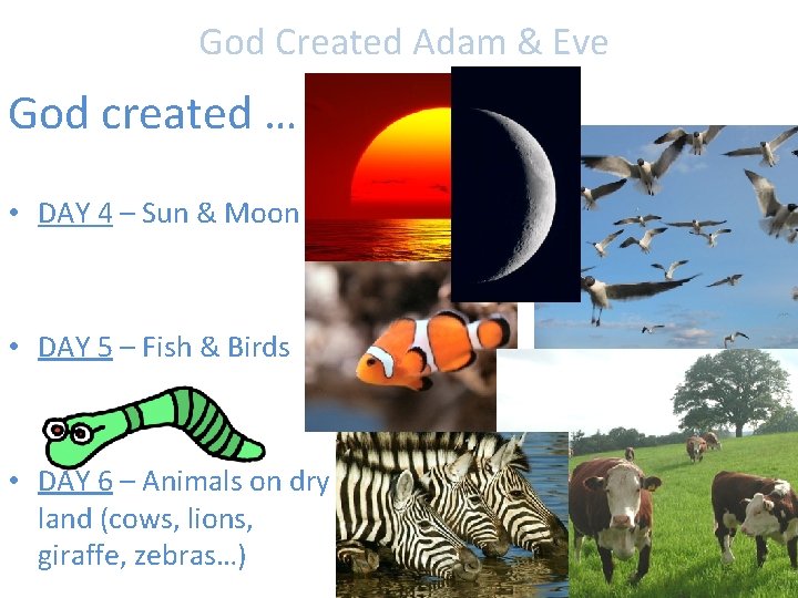 GOD CREATED ADAM EVE God Created Adam Eve
