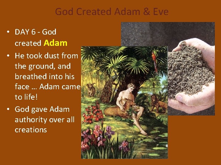 GOD CREATED ADAM EVE God Created Adam Eve