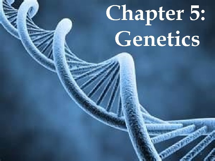 Chapter 5 Genetics 1 Lesson 1 Mendel His