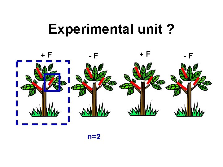 Lecture 2 Replication and pseudoreplication This lecture will
