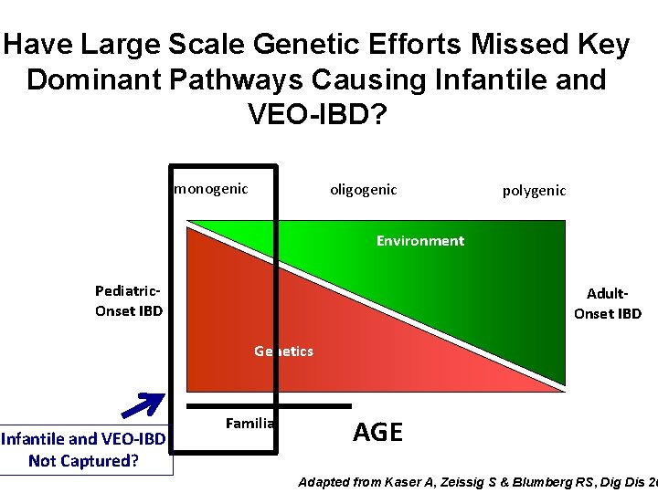 Genetic Mutations in Young Children with IBD Insights