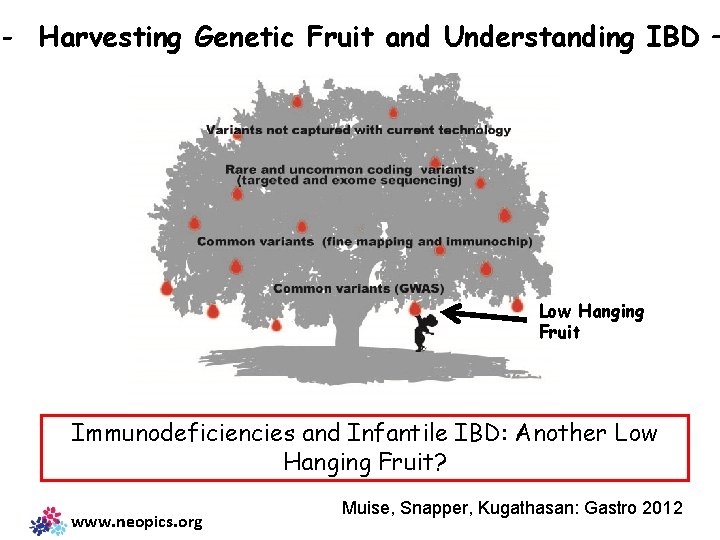 Genetic Mutations in Young Children with IBD Insights